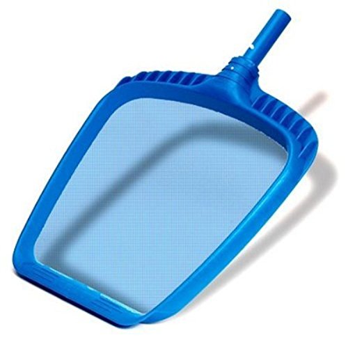 6 Best Swimming Pool Tools For Cleaning & Maintenance